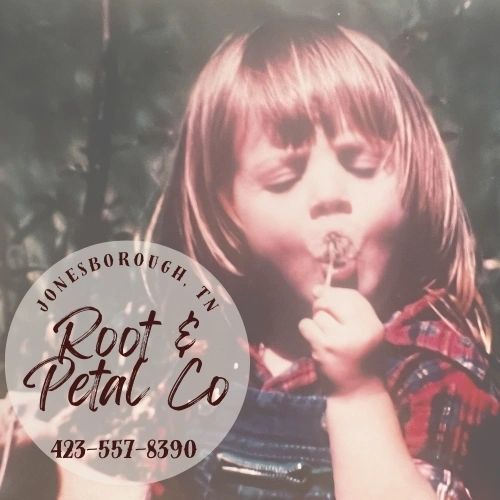 Gallery | Root and Petal Co